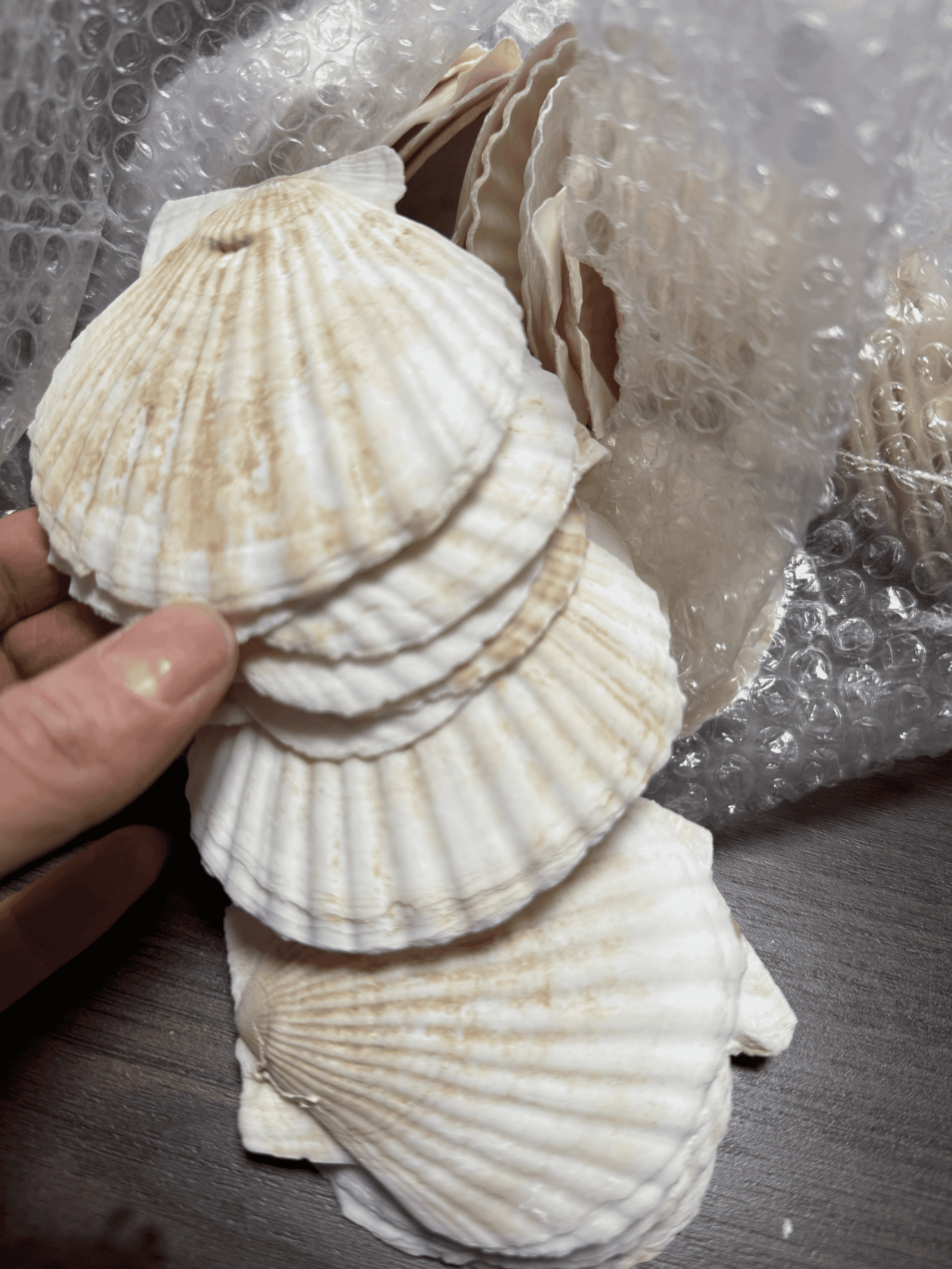 Comprehensive Seashell Grinding Solutions: Yinda Machinery's ...