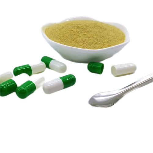 Pharmaceutical IBC Bin Blender High-Efficiency Powder Mixing Solution ...