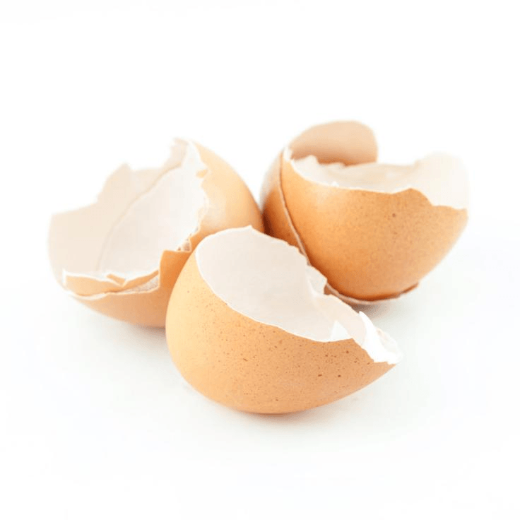 How to Build an Efficient Eggshell Powder Processing Line | Yinda Machinery
